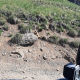 Alpine Loop National Back Country Byway, Colorado - 249 Reviews, Map ...