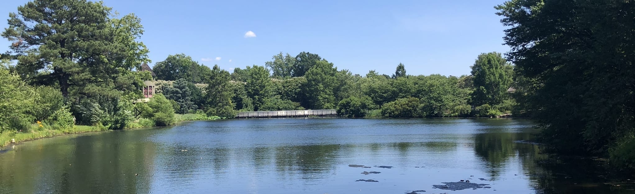 Lewis Ginter Botanical Garden, Virginia - 98 Reviews, Map | AllTrails