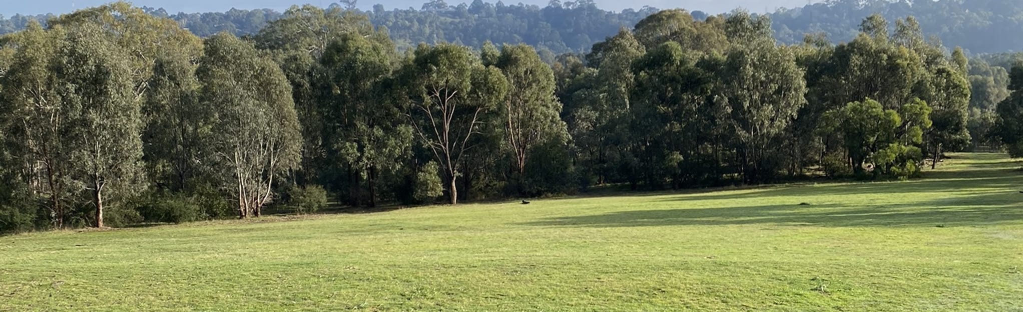 Main Yarra Trail and Westerfolds Park Circuit: 31 Reviews, Map ...