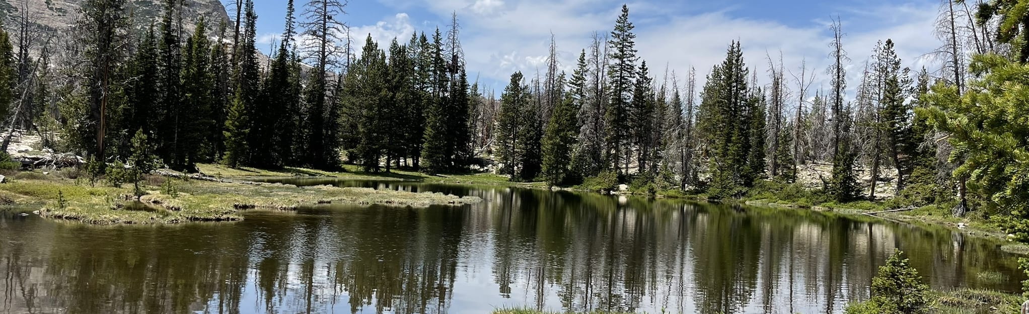 Lofty Lake via Ruth Lake Trail: 83 Reviews, Map - Utah | AllTrails