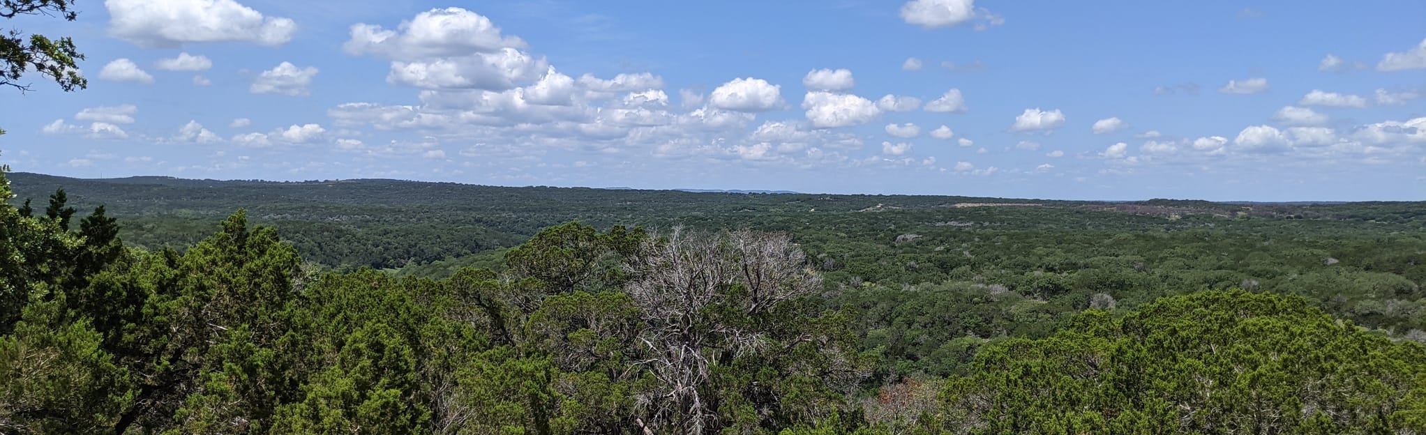 Trammell’s Crossing and 5.5 Mile Spur Trail Loop, Texas - 228 Reviews ...