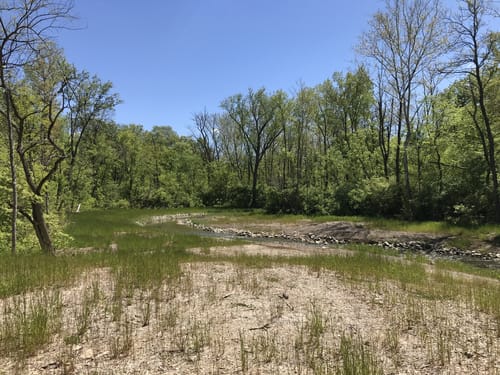 Best Hikes and Trails in Bill Yeck Park | AllTrails