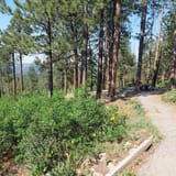Animas Overlook Trail, Colorado - 133 Reviews, Map | AllTrails
