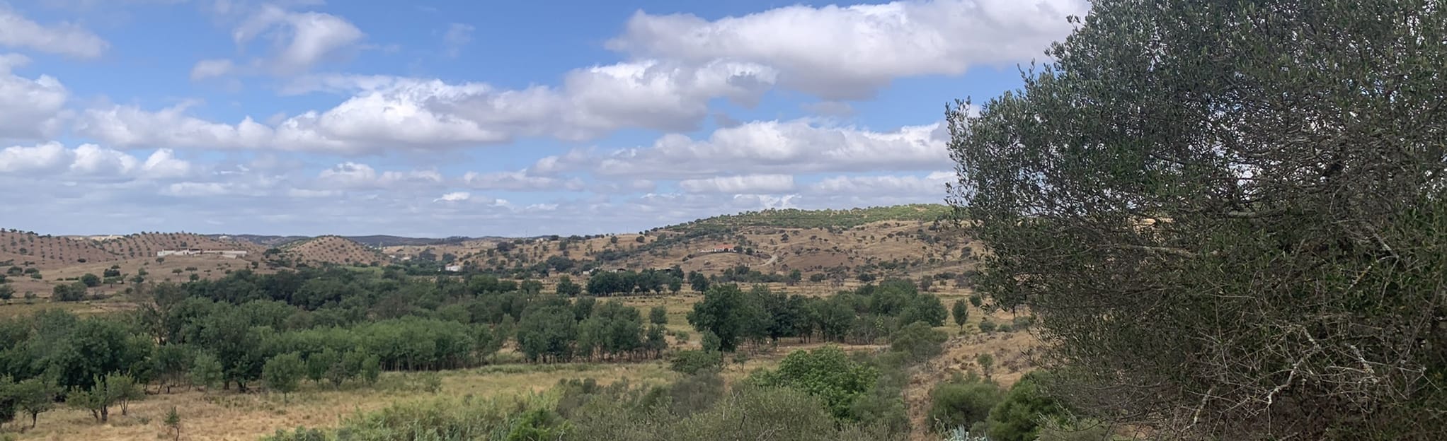 Rota Circular do Azinhal, Faro, Portugal - 9 Reviews, Map | AllTrails