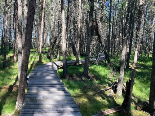 Best Hikes and Trails in Meadowlands | AllTrails