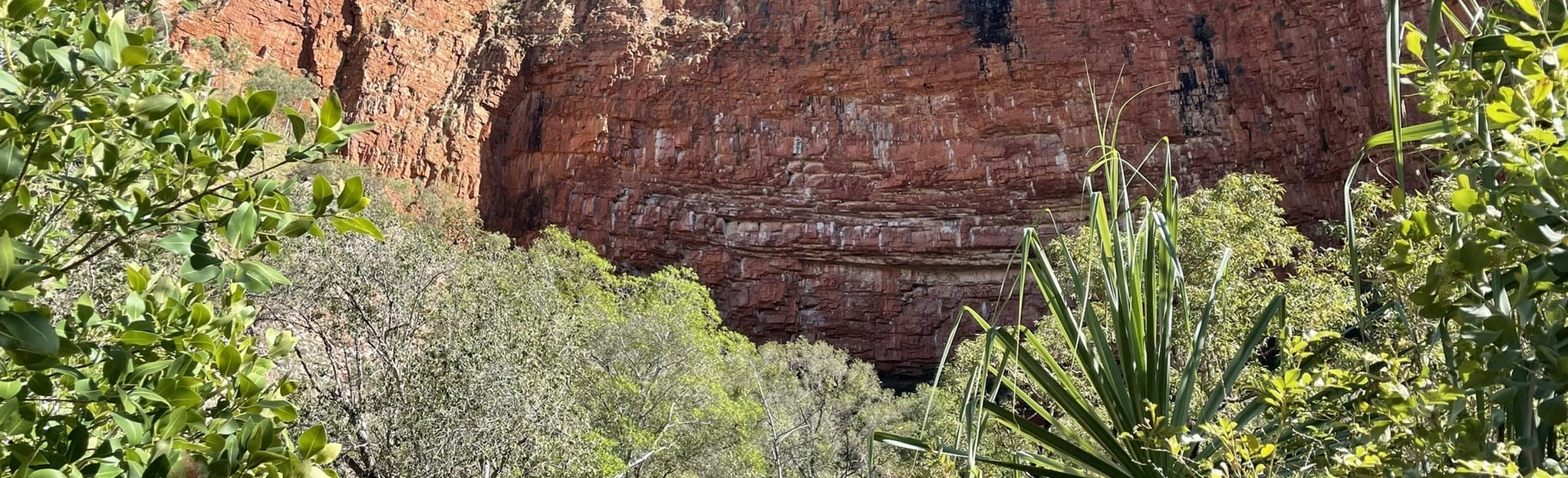 Emma’s Gorge Walk, Western Australia, Australia - 115 Reviews, Map ...