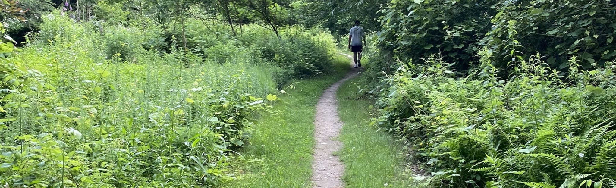 Davis Corridor Loop | Map, Guide - Massachusetts | AllTrails