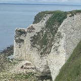 Old Harrys Rocks and Studland Bay, Dorset, England - 60 Reviews, Map ...