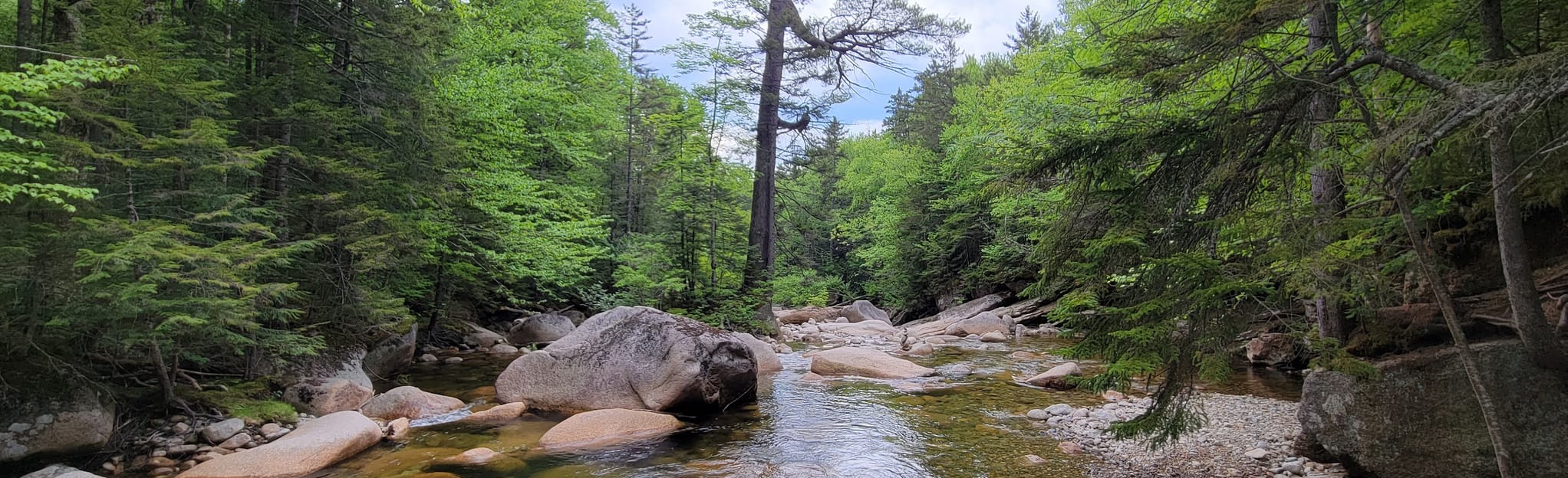 Whitehouse Trail, New Hampshire - 297 Reviews, Map | AllTrails