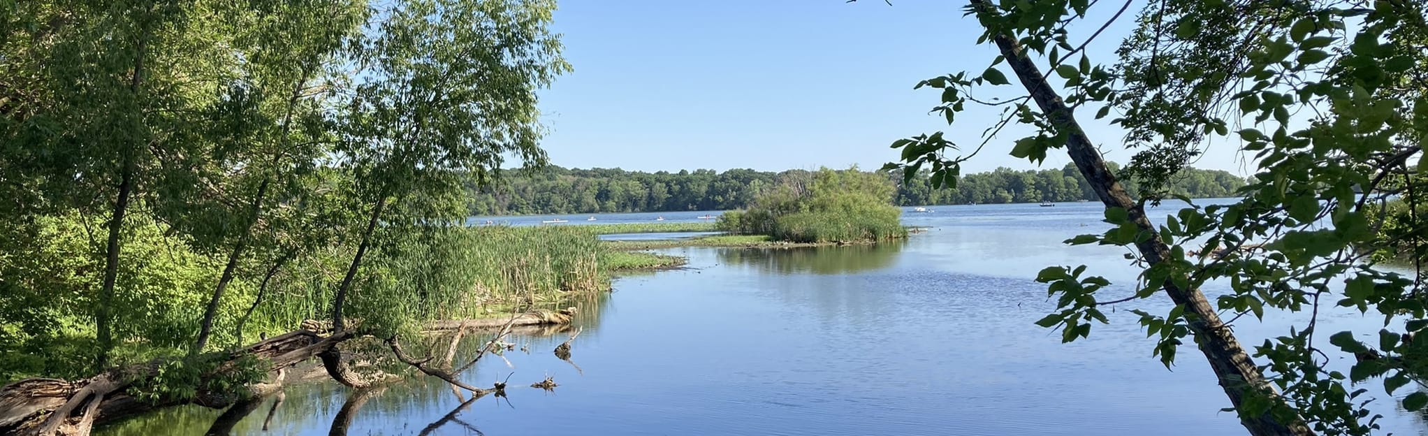 Howard Temin Lakeshore Path, Wisconsin - 300 Reviews, Map | AllTrails