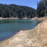 Cross Marin Trail to Kent Lake, California - 135 Reviews, Map | AllTrails