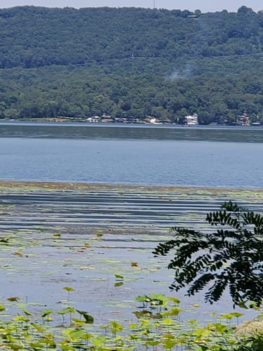 Best Hikes and Trails in Murphy Hill Wildlife Management Area | AllTrails