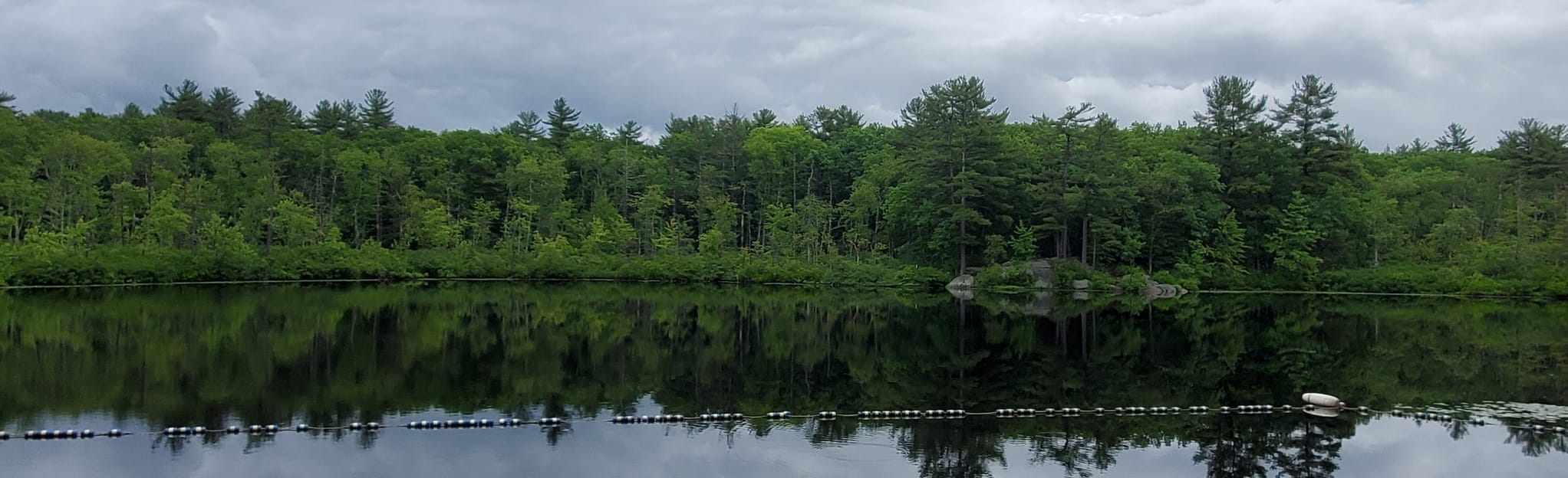 Berry Pond via Heart Healthy Trail, Massachusetts - 204 Reviews, Map ...