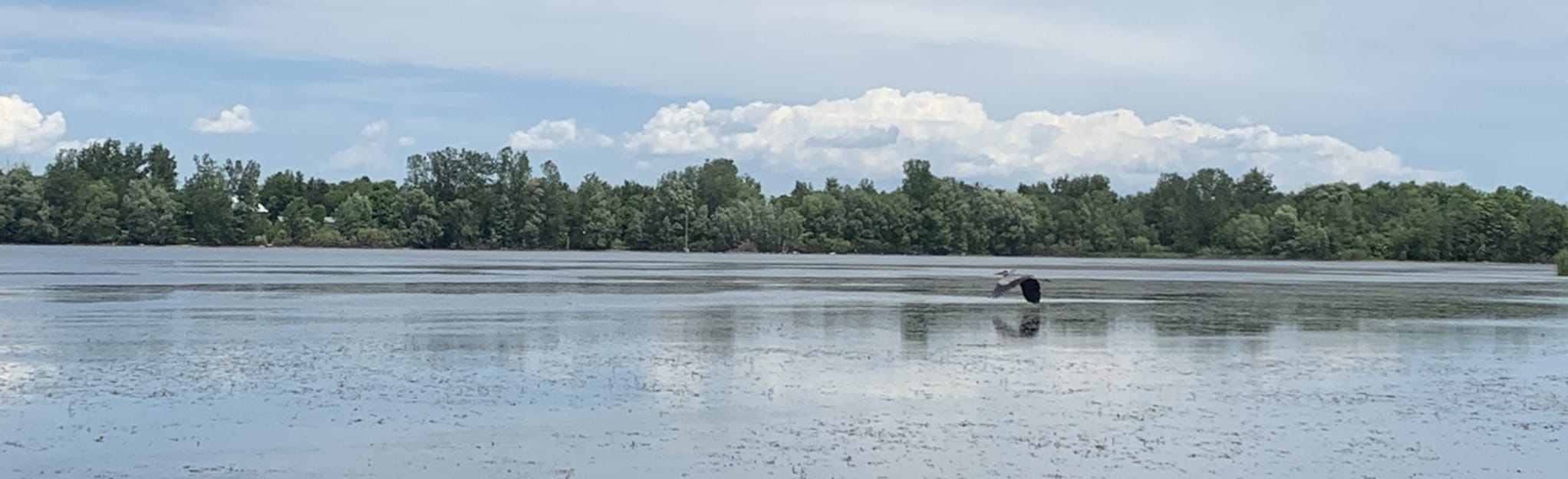 AllTrails | Mountsberg Reservoir Paddle: 1 Reviews, Map - Ontario, Canada