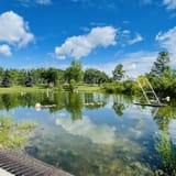 Rundle Park Riverside Trail, Alberta, Canada - 217 Reviews, Map | AllTrails