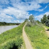 Rundle Park Riverside Trail, Alberta, Canada - 217 Reviews, Map | AllTrails