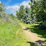Rundle Park Riverside Trail, Alberta, Canada - 217 Reviews, Map | AllTrails