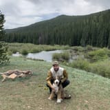 Weston Pass Road, Colorado - 155 Reviews, Map | AllTrails