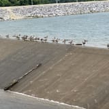 Lake Williams and Lake Redman, Pennsylvania - 180 Reviews, Map | AllTrails