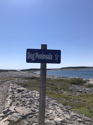 Best Hikes and Trails in Bird Cove | AllTrails
