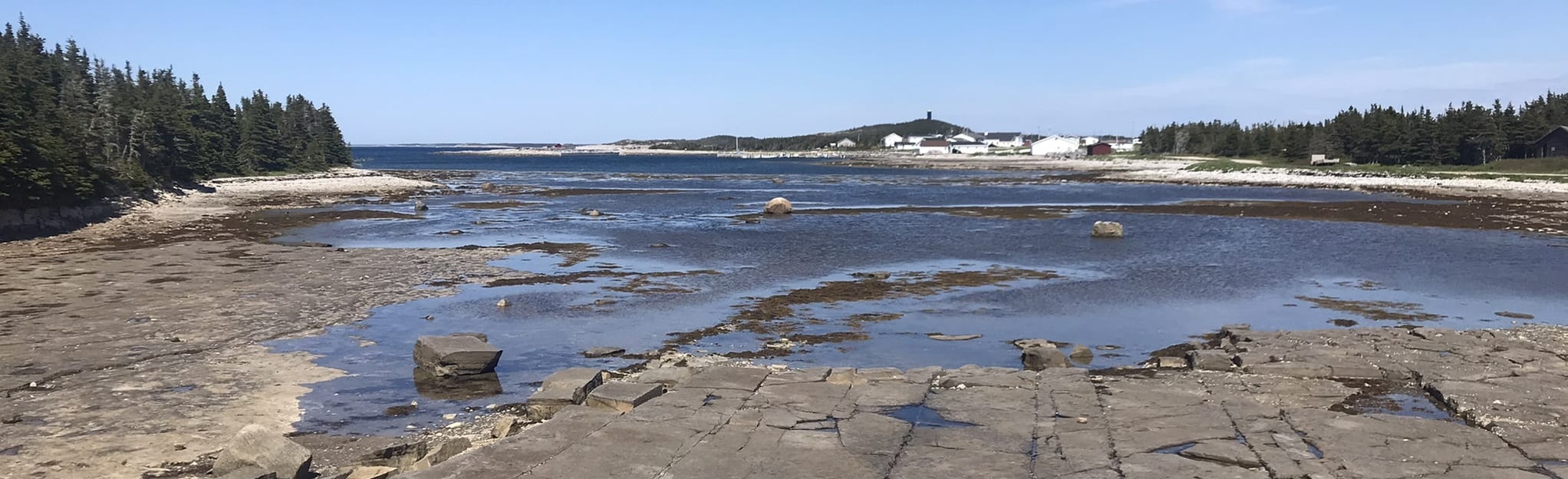 Dog Island: 2 Reviews, Map - Newfoundland and Labrador, Canada | AllTrails