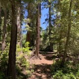 Warm Springs Falls Trail, Oregon - 112 Reviews, Map | AllTrails