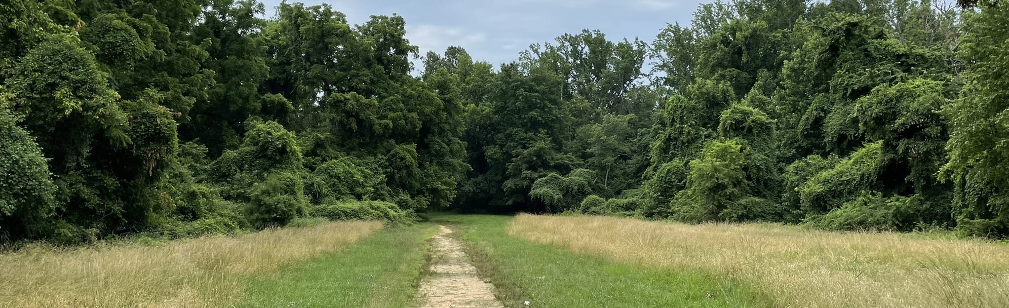 Fort Foote Civil War Ruins, Maryland - 143 Reviews, Map | AllTrails