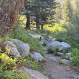 Cold Springs Nature Trail, California - 72 Reviews, Map | AllTrails