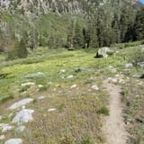 Cold Springs Nature Trail, California - 72 Reviews, Map | AllTrails