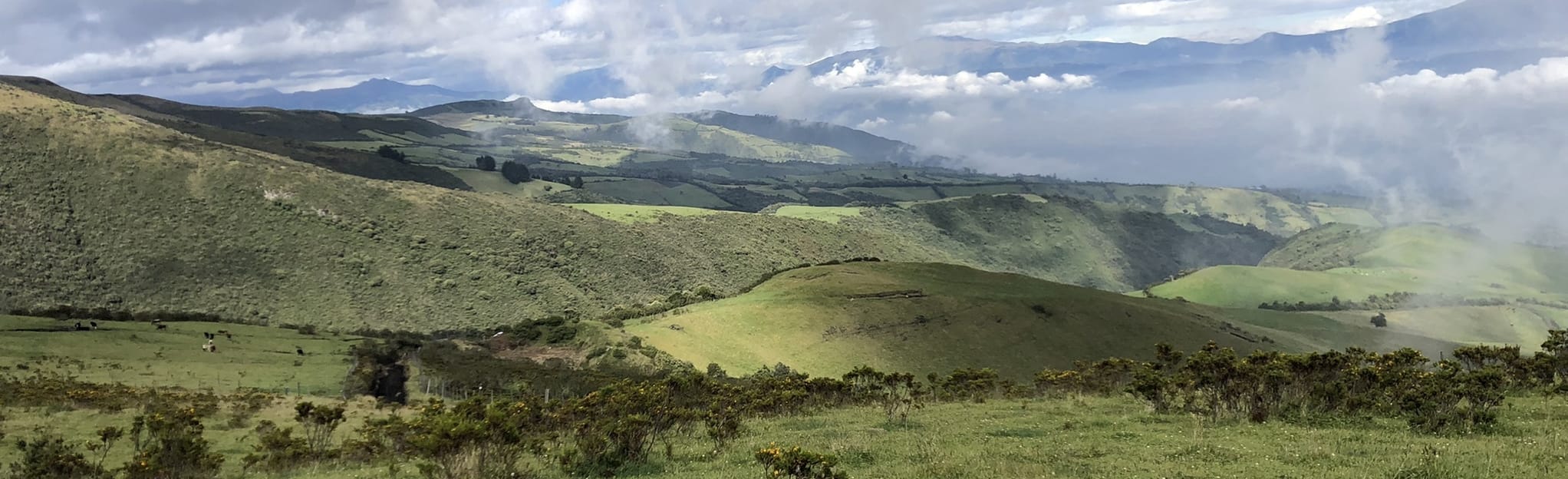 Cerro Puntas - Pichincha, Ecuador | AllTrails