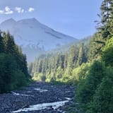 Baker River Trail, Washington - 180 Reviews, Map | AllTrails