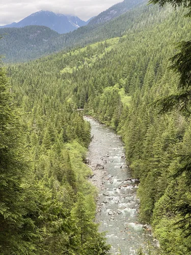 10 Best Trails and Hikes in Maple Ridge | AllTrails