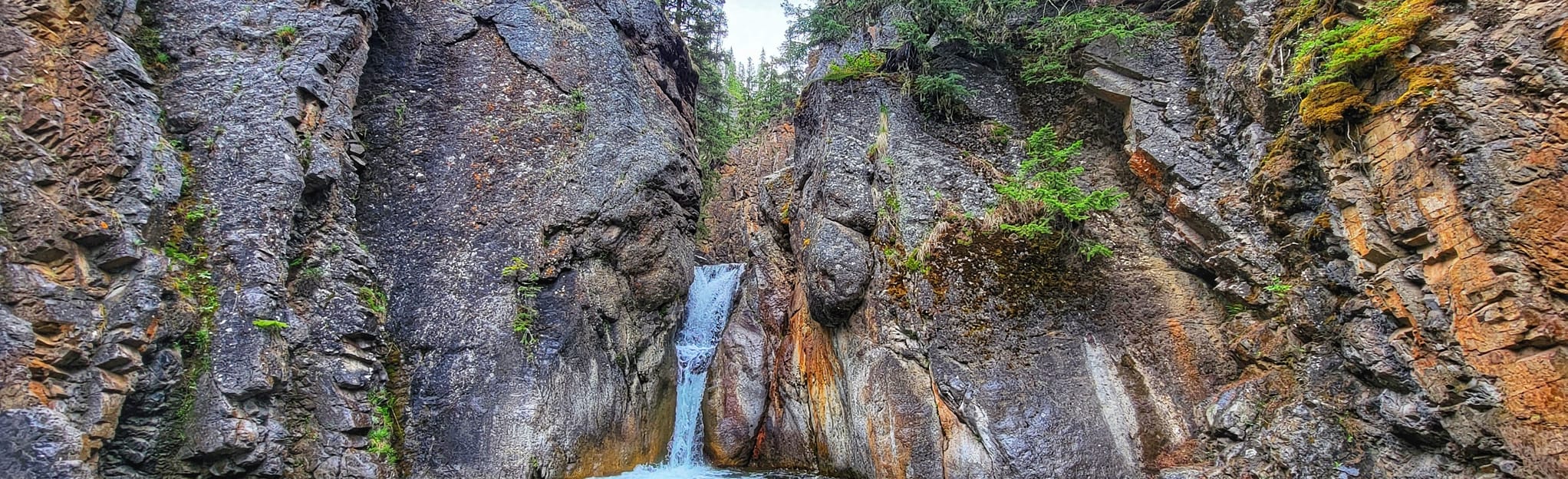 Cat Creek Waterfall, Alberta, Canada - 903 Reviews, Map | AllTrails
