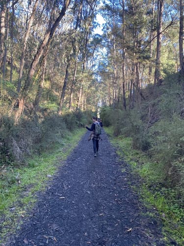 Best Hikes and Trails in Rokeby Flora Reserve | AllTrails