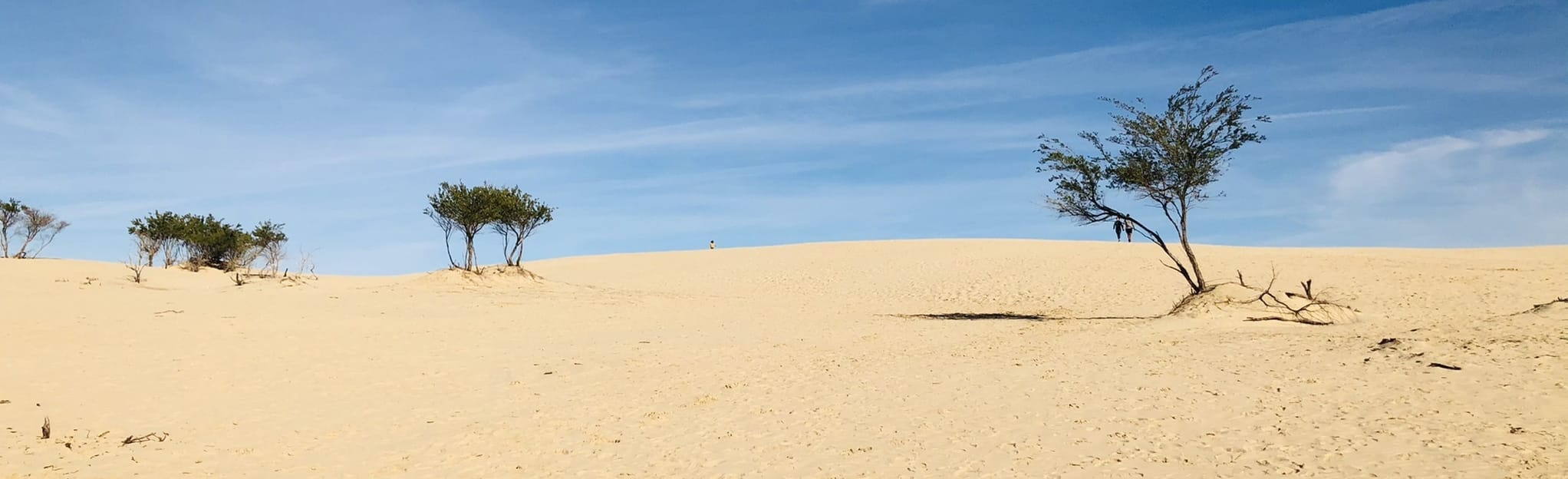 Big Drift Track : 93 Photos - Victoria, Australie | Randonnée | AllTrails