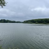 Thornton Reservoir and Bagworth Heath Woods Circular, Leicestershire ...