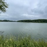 Thornton Reservoir and Bagworth Heath Woods Circular, Leicestershire ...