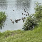 Thornton Reservoir and Bagworth Heath Woods Circular, Leicestershire ...