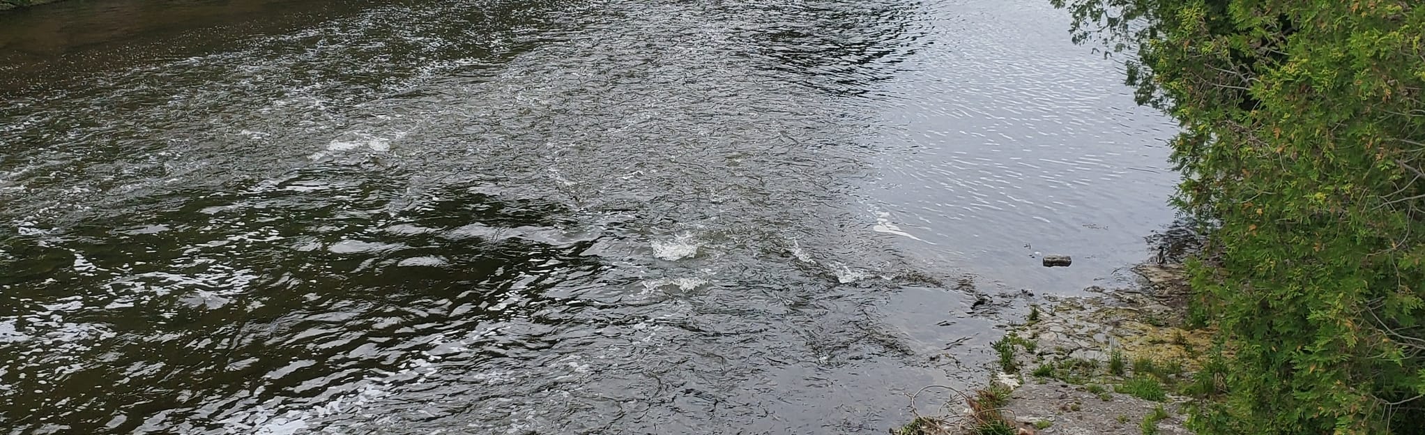 Trestle Bridge Loop [CLOSED], Ontario, Canada - 177 Reviews, Map ...