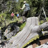 Whaleback Trail, Alberta, Canada - 41 Reviews, Map | AllTrails