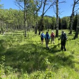 Whaleback Trail, Alberta, Canada - 41 Reviews, Map | AllTrails