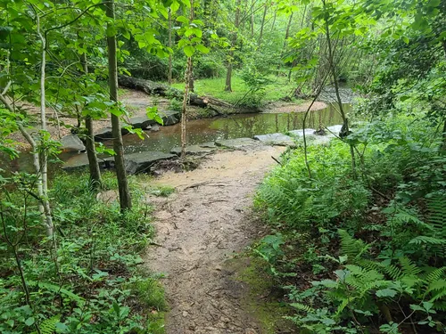 10 Best Trails and Hikes in Reston | AllTrails