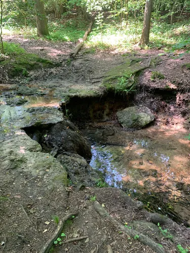 Best Hikes and Trails in Dunkirk District Park | AllTrails