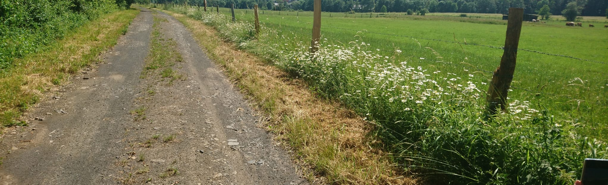 Weitefeld - Alpenrod, Rhineland-Palatine, Germany - Map, Guide | AllTrails