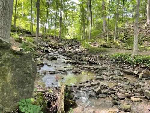 10 Best Trails and Hikes in Hamilton | AllTrails