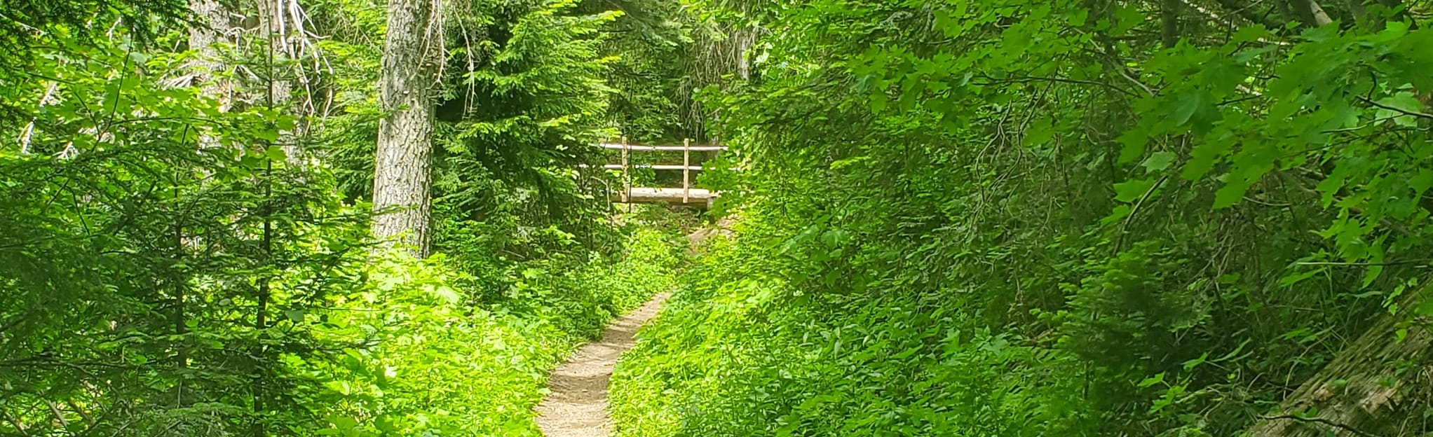 Day Mountain and Mount Kit Carson Trail: 1.112 foto - Washington ...