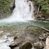 Upper Priest River Trail, Idaho - 86 Reviews, Map | AllTrails