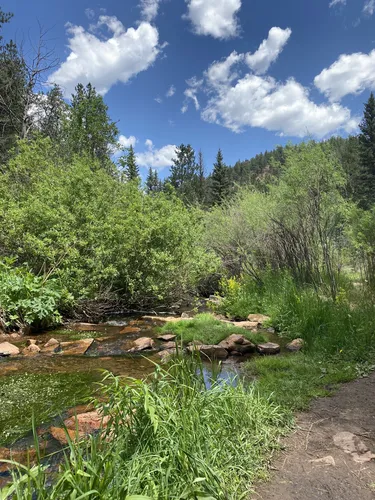 10 Best Forest Trails in Pike National Forest | AllTrails