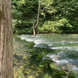 Blue Spring Trail, Missouri - 211 Reviews, Map | AllTrails