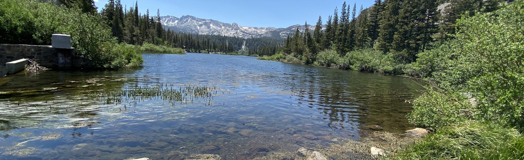 Lake Basin Path: 762 Reviews, Map - California | AllTrails